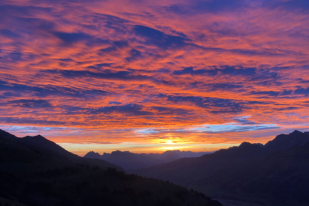 Hofladen von Peter Stoller | Vom Milchbuur