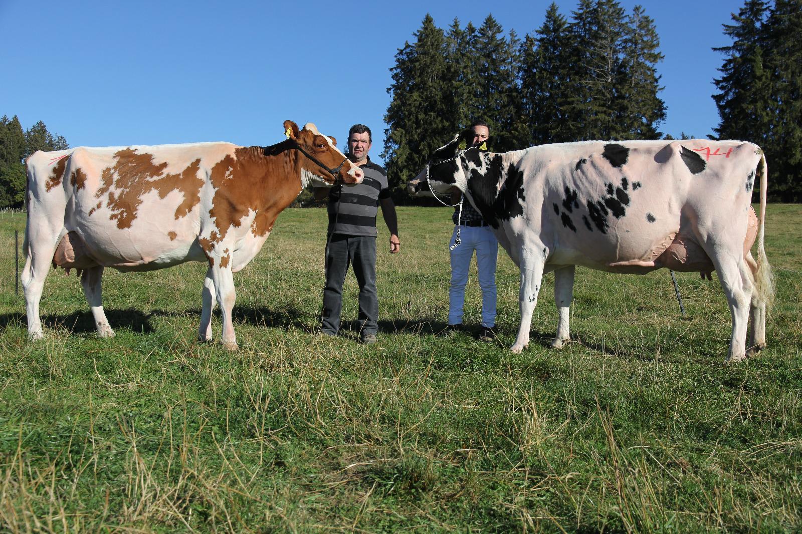 Hofladen von Jean-Claude und Samuel Chassot | Vom Milchbuur